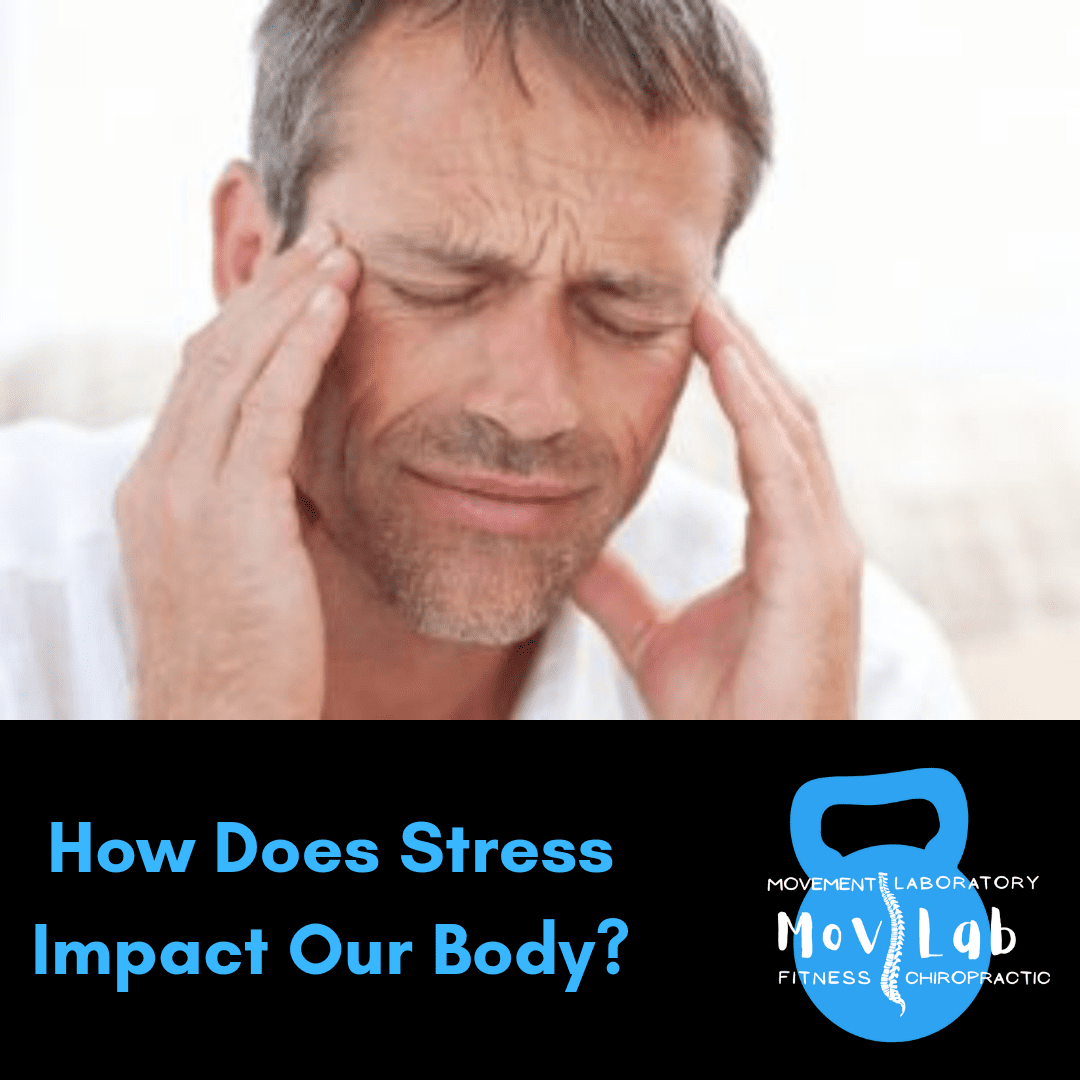 What Stress Does To Our Musculoskeletal System! | MovLab